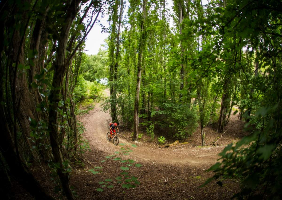 A Mountain Bikers Guide to the Otago Cycling Trails | Trail Hub Otago ...