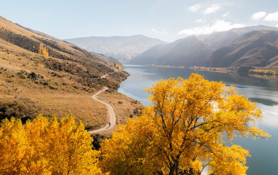 Your Guide to Exploring the Best Otago Cycle and Walking Trails | Otago ...
