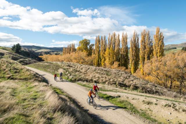 Photo Gallery of the Best Autumn Colours on the Otago Bike Trails ...