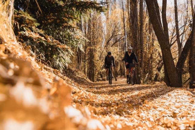 Photo Gallery of the Best Autumn Colours on the Otago Bike Trails ...