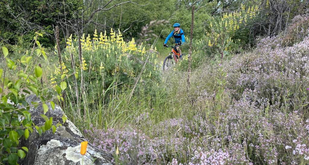 Otago's Best Cycling and Mountain Biking Trails | Otago Trail Hub