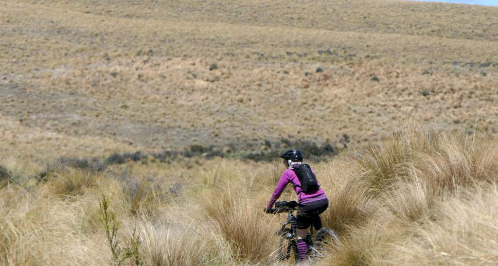 Otago's Best Cycling and Mountain Biking Trails | Otago Trail Hub