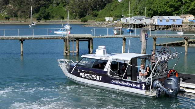 Best Things to See and Do Along the Dunedin Harbour Cycleway | Otago ...