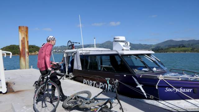 Best Things to See and Do Along the Dunedin Harbour Cycleway | Otago ...