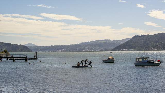 Best Things to See and Do Along the Dunedin Harbour Cycleway | Otago ...