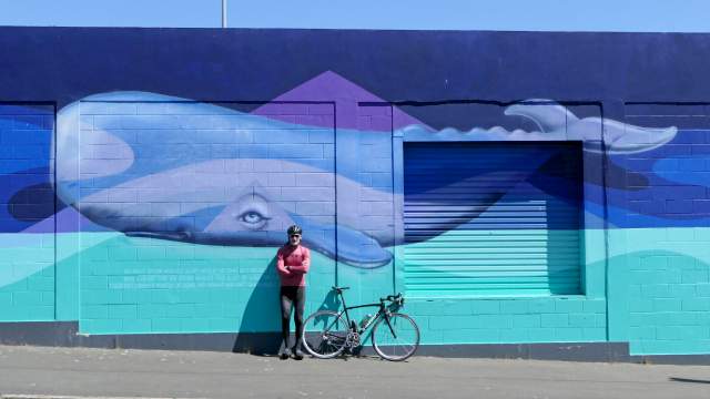 Best Things to See and Do Along the Dunedin Harbour Cycleway | Otago ...