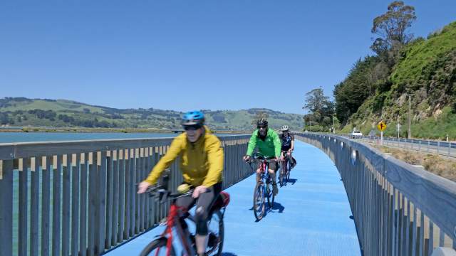 Best Things to See and Do Along the Dunedin Harbour Cycleway | Otago ...