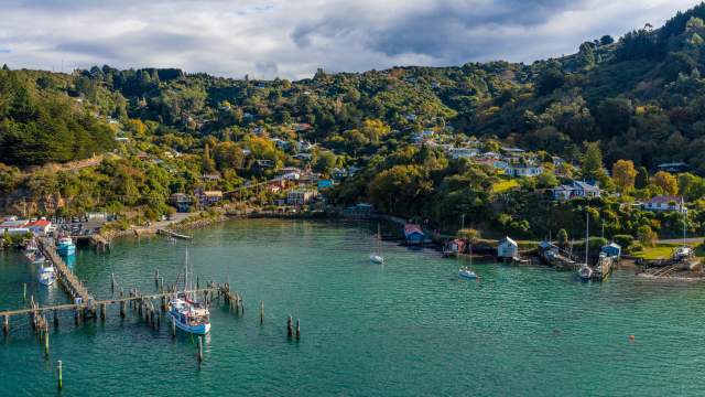 Best Things to See and Do Along the Dunedin Harbour Cycleway | Otago ...