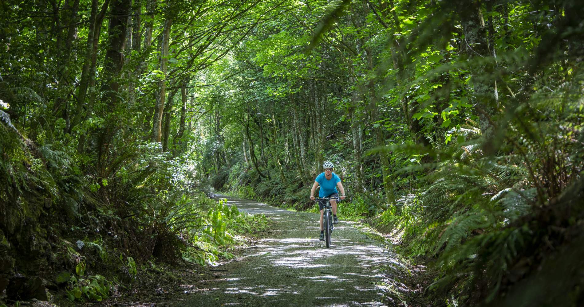 Trail Hub is an inspirational new website telling stories from across ...