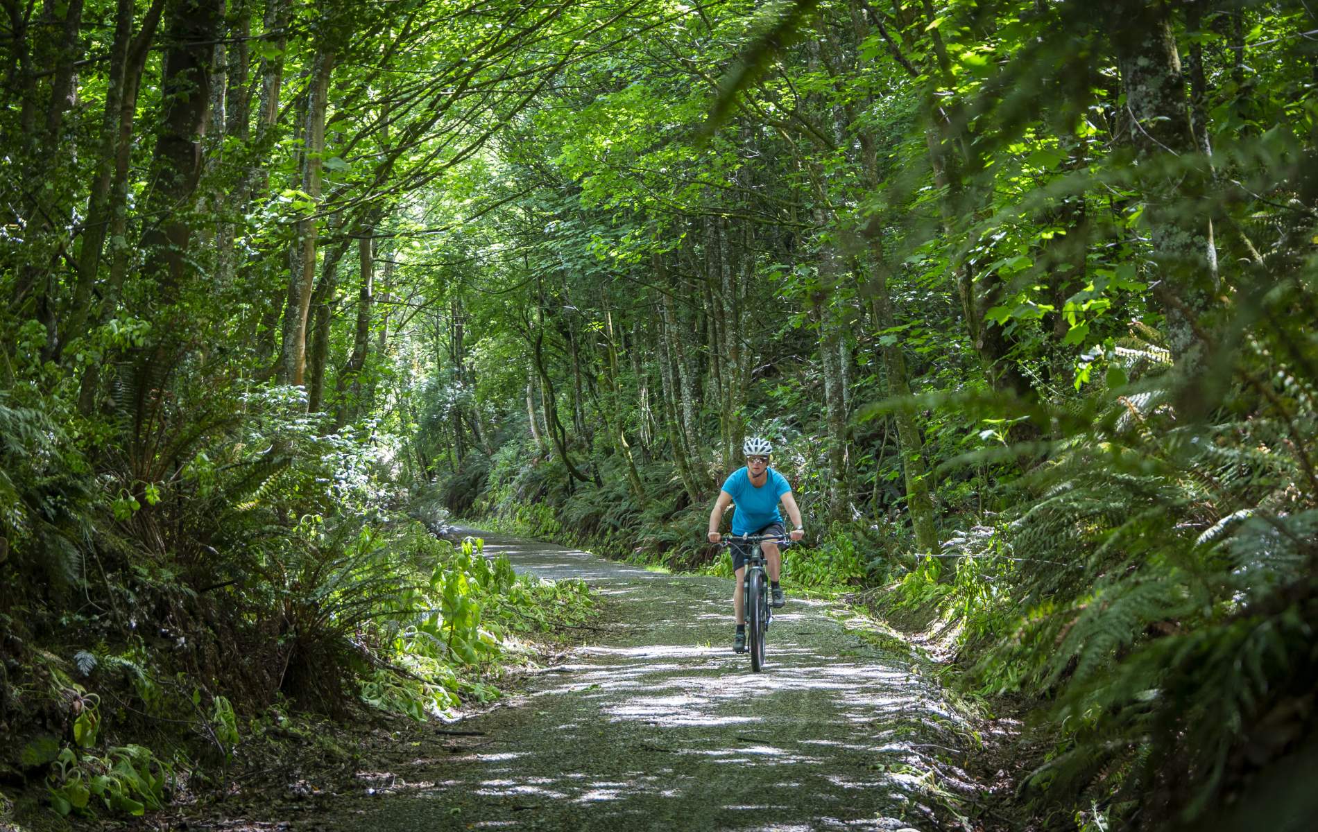 News & Events | Trail Hub Otago | Rail Trail Otago | Otago Trail Hub