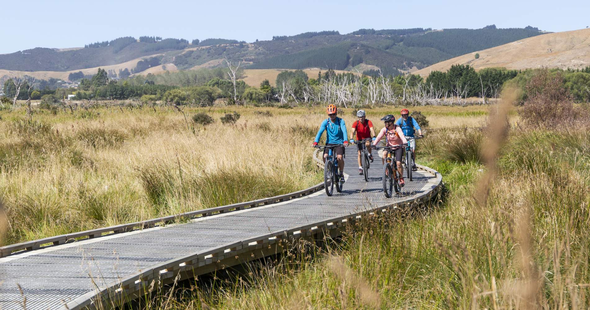 Explore the Clutha Gold Trail | Otago Trail Hub