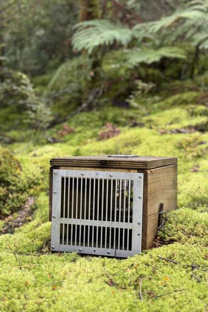 Community Conservation Projects along Otago's Cycle Trails | Otago ...