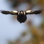 10 Great Tips for Winter Bike Riding on the Trails | Otago Trail Hub