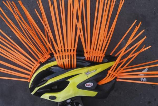 Tips for Cyclists to Avoid Swooping Magpies this Spring. | Otago Trail Hub