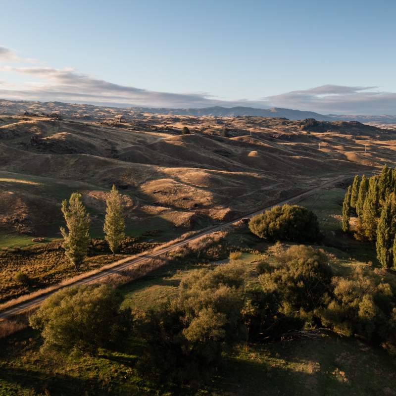 Home | Trail Hub Otago | Otago's Trail Network | Otago Trail Hub