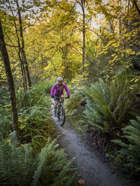 A Stunning Photo Gallery of the Queenstown Trail | Otago Trail Hub