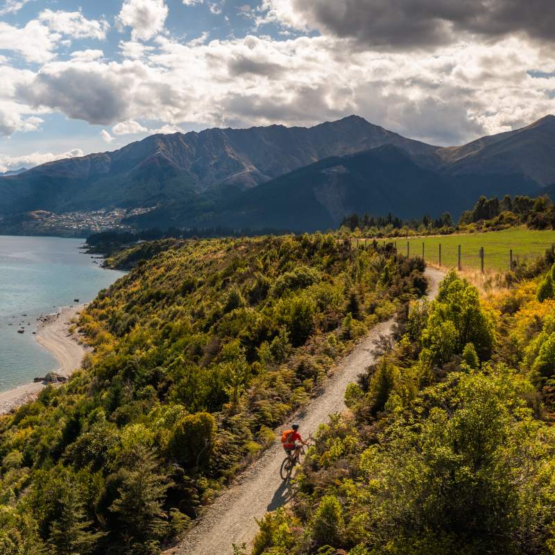 Blogs, Stories and Ride Guides from the Otago Bike Trails | Otago Trail Hub