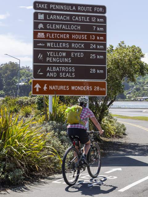A Guide to Mastering Shared Path Etiquette | Otago Trail Hub