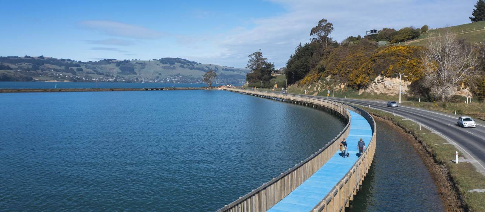 Blogs, Stories and Ride Guides from the Otago Bike Trails | Otago Trail Hub