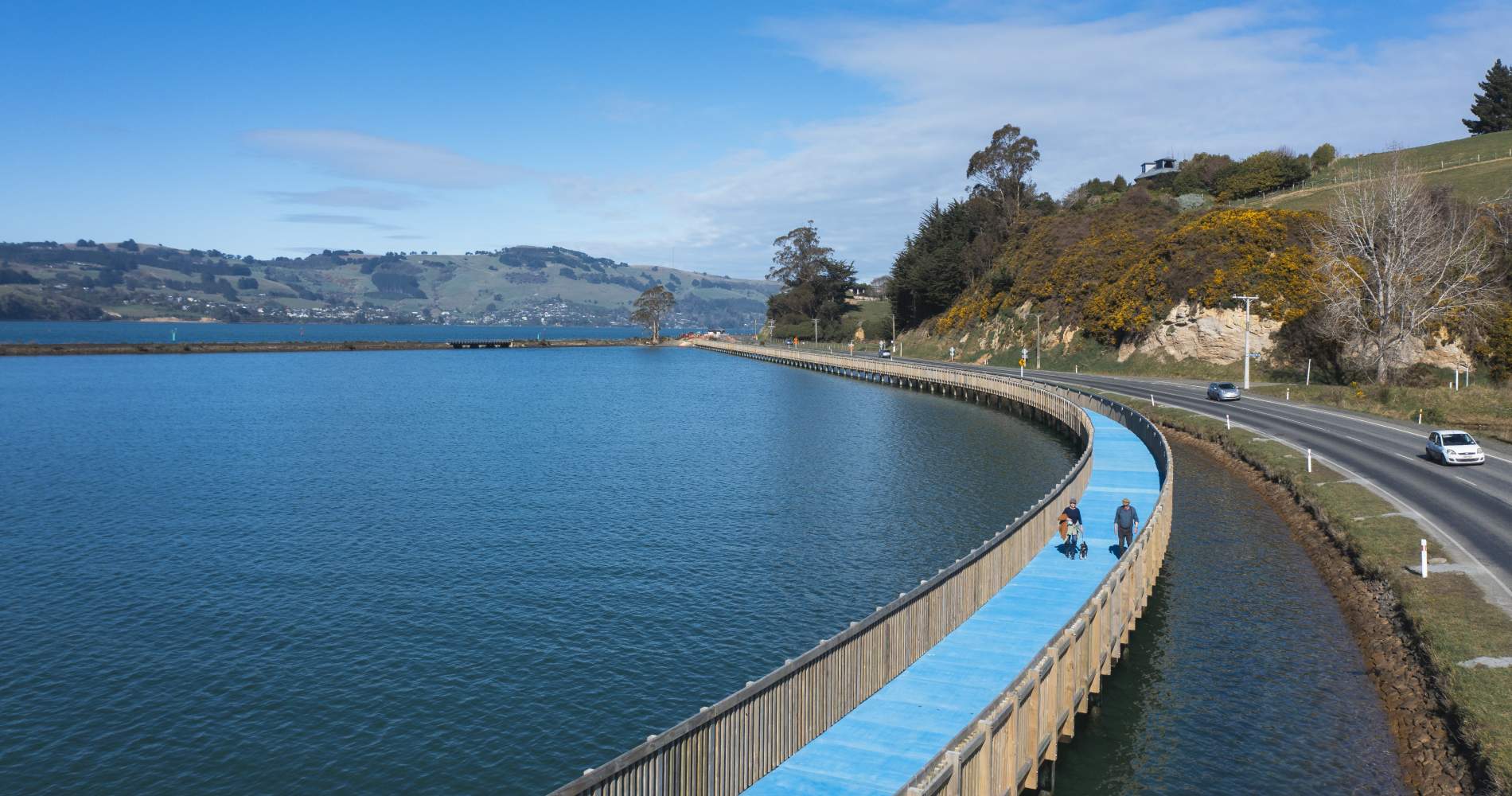 A Guide to Mastering Shared Path Etiquette | Otago Trail Hub