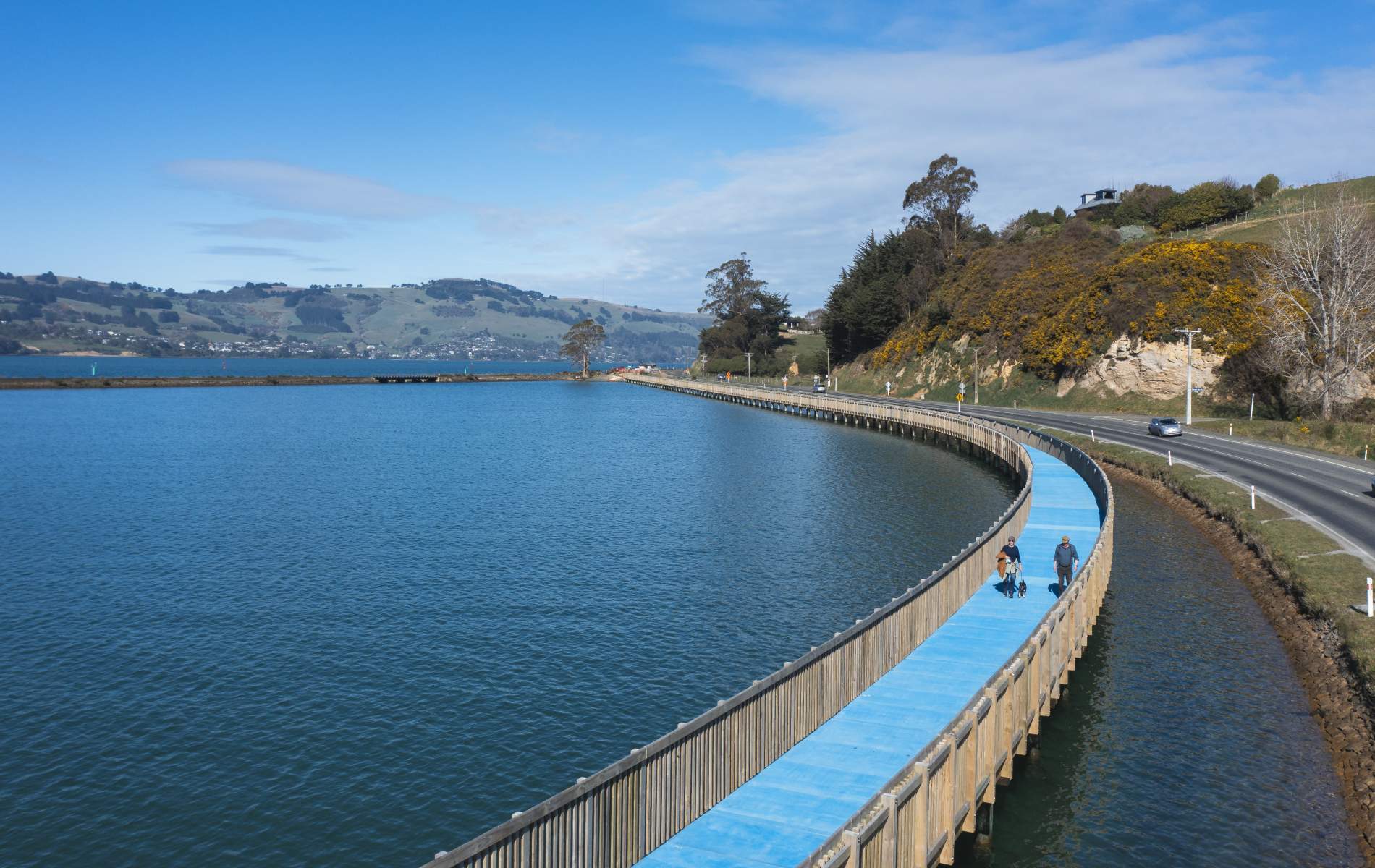 Blogs, Stories and Ride Guides from the Otago Bike Trails | Otago Trail Hub