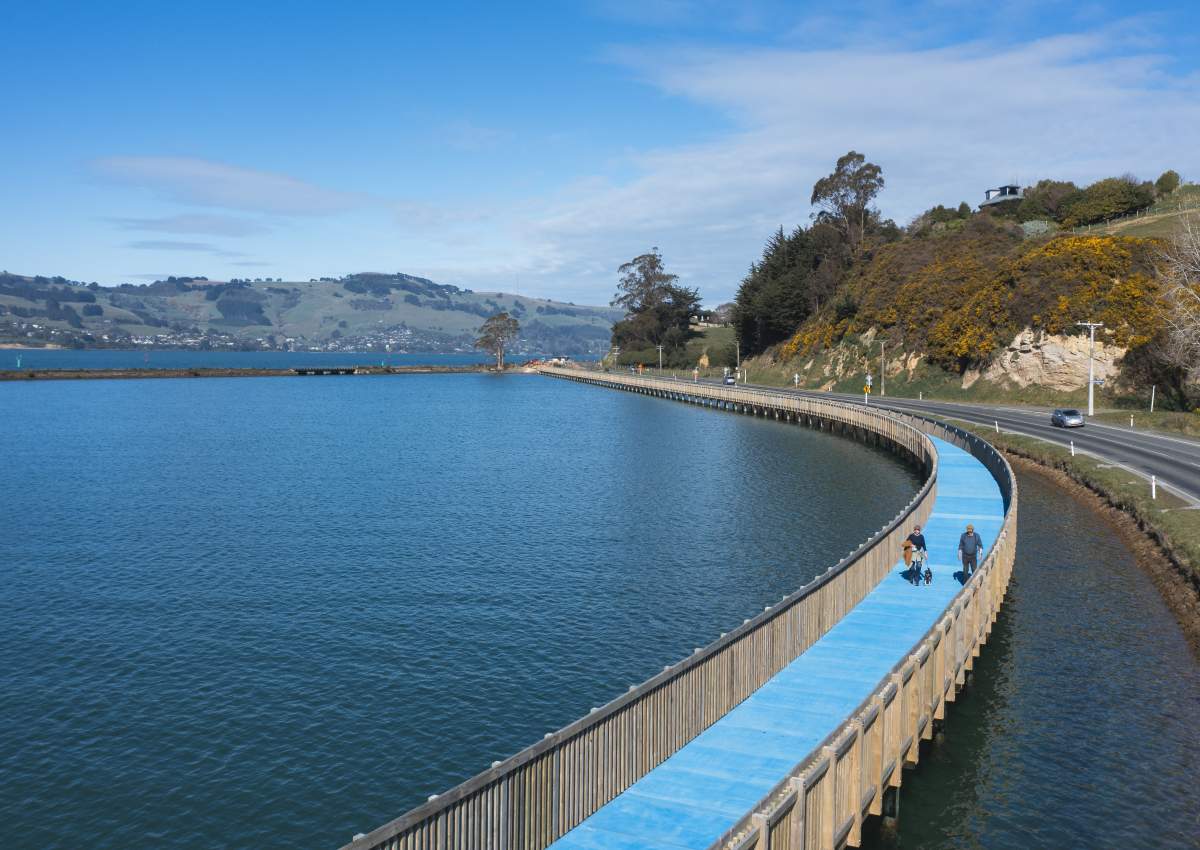 A Guide to Mastering Shared Path Etiquette | Otago Trail Hub