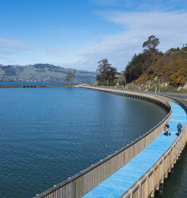 A Guide to Mastering Shared Path Etiquette | Otago Trail Hub