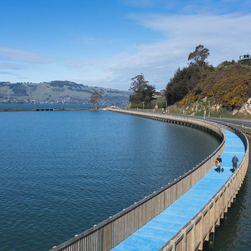 Blogs, Stories and Ride Guides from the Otago Bike Trails | Otago Trail Hub