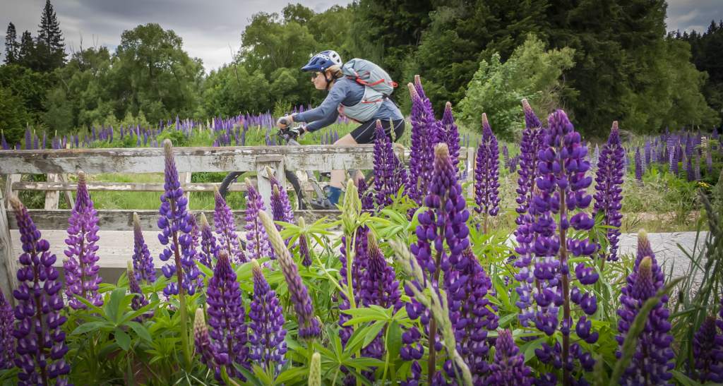 Gravel Bash - Mountain Biking in Naseby | Otago Trail Hub