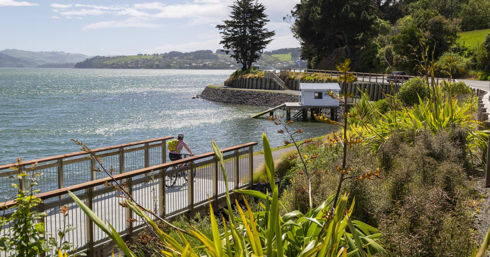 Best Things to See and Do Along the Dunedin Harbour Cycleway | Otago ...