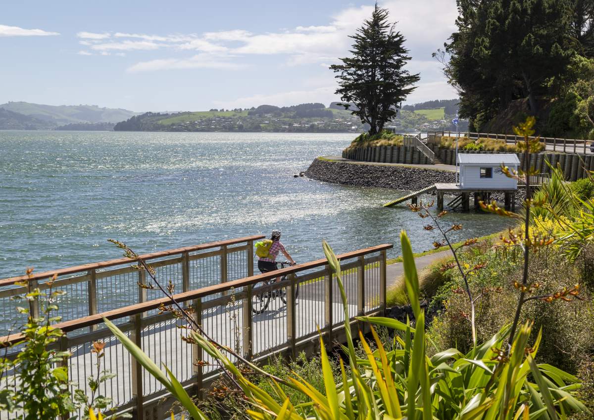 Best Things to See and Do Along the Dunedin Harbour Cycleway | Otago ...