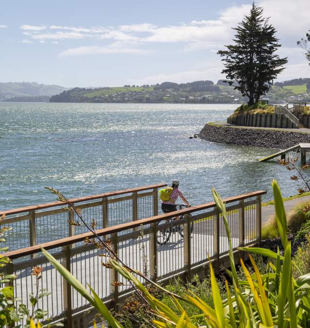 Best Things to See and Do Along the Dunedin Harbour Cycleway | Otago ...