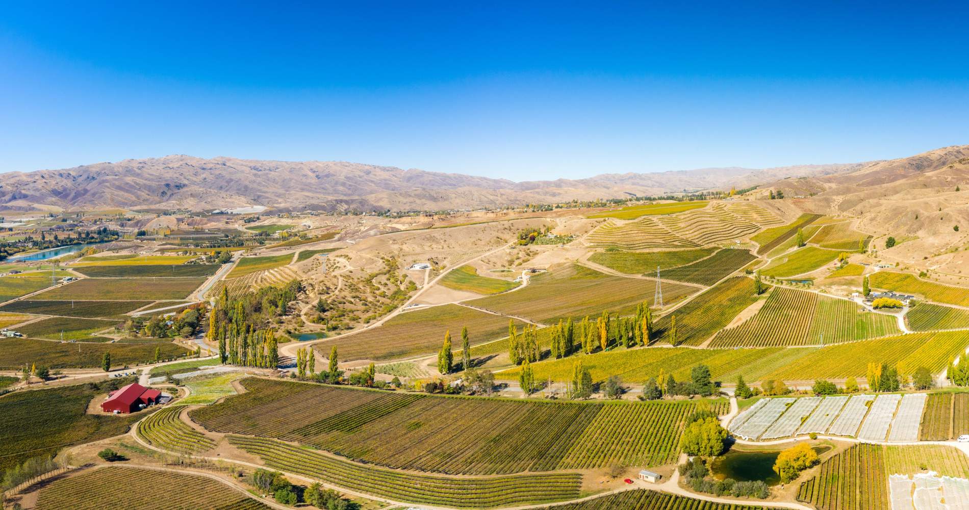 Explore Otago Wine Country on New Zealand’s Best Cycle Trails | Otago ...