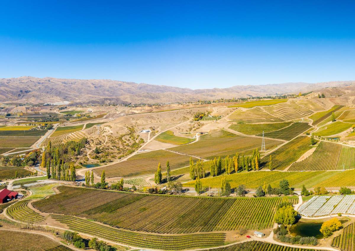 Explore Otago Wine Country on New Zealand’s Best Cycle Trails | Otago ...