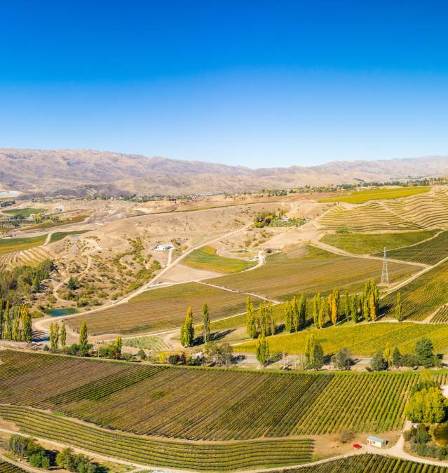 Explore Otago Wine Country on New Zealand’s Best Cycle Trails | Otago ...