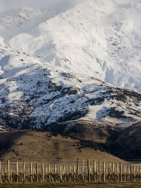 Unique Winter Activities on the Otago Cycle Trails | Otago Trail Hub